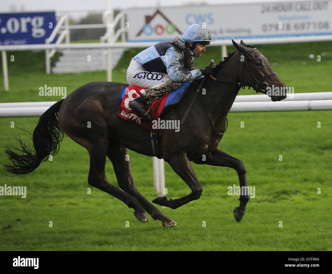 Tiana lee hi-res stock photography and images - Alamy