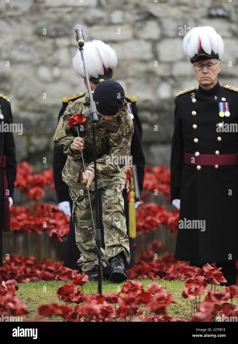 Cadet Harry Hayes, 13, plants the last poppy in the art installation ...
