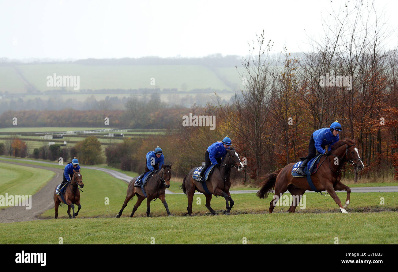 Visit jonjo oneills stables hi-res stock photography and images - Alamy