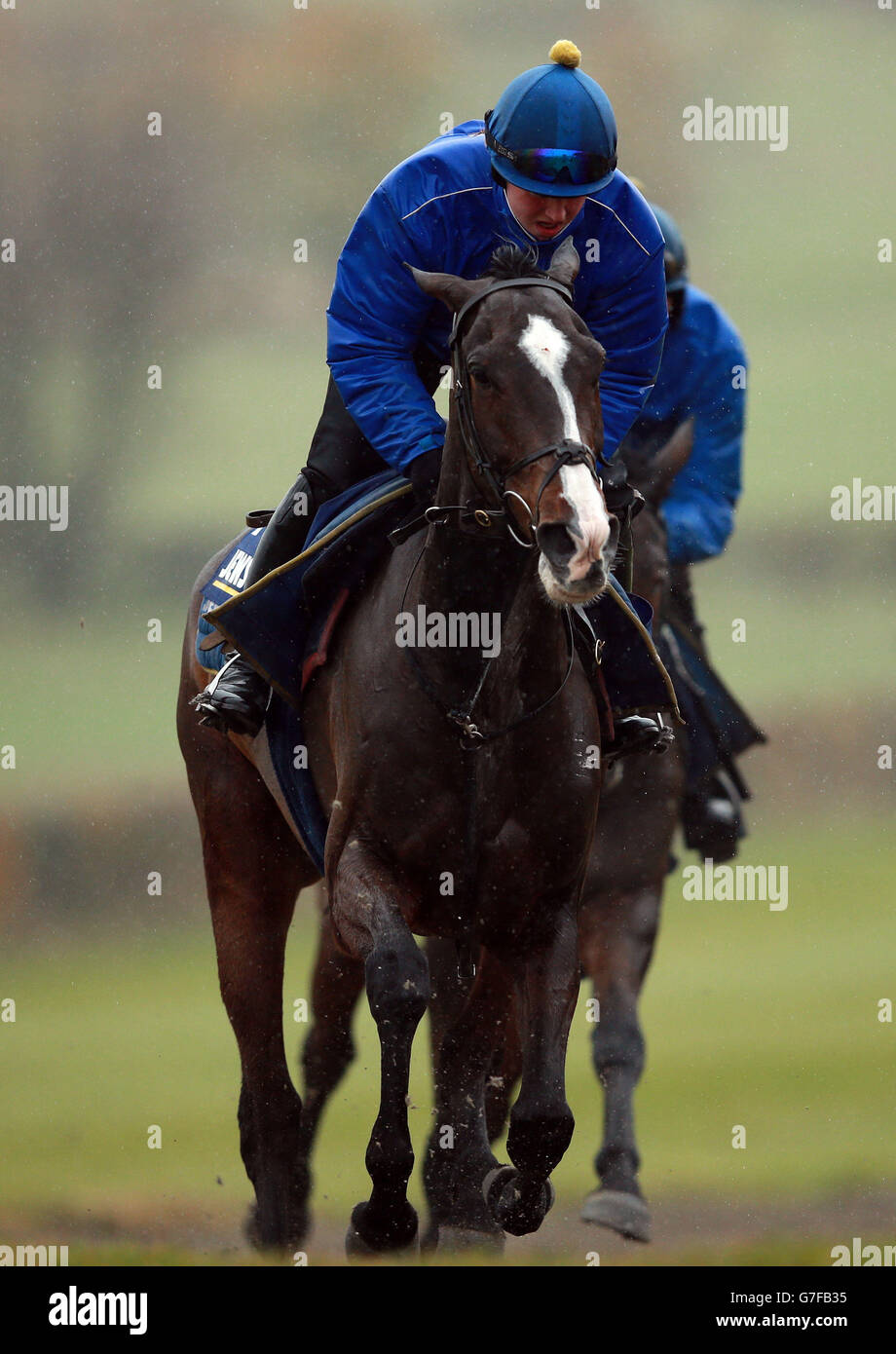 Visit jonjo oneills stables hi-res stock photography and images - Alamy