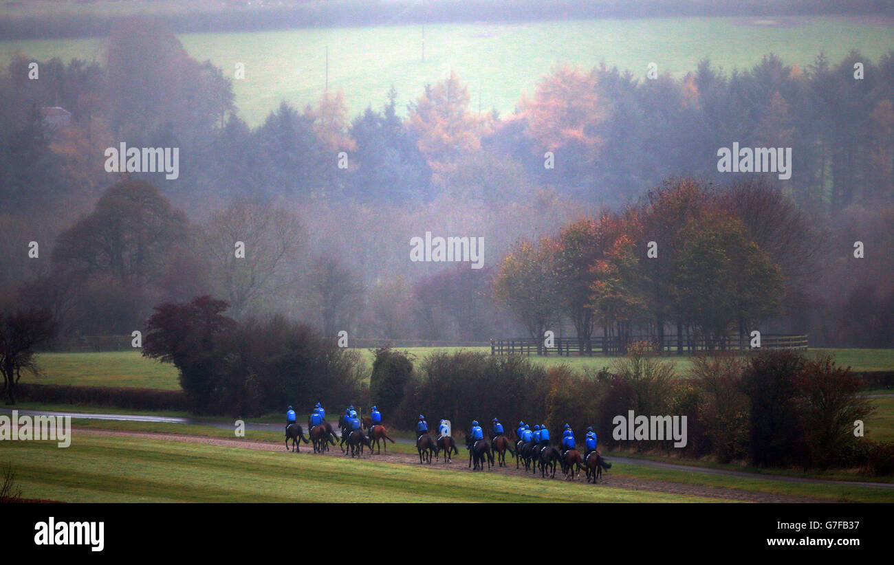 Jackdaws castle hi-res stock photography and images - Alamy