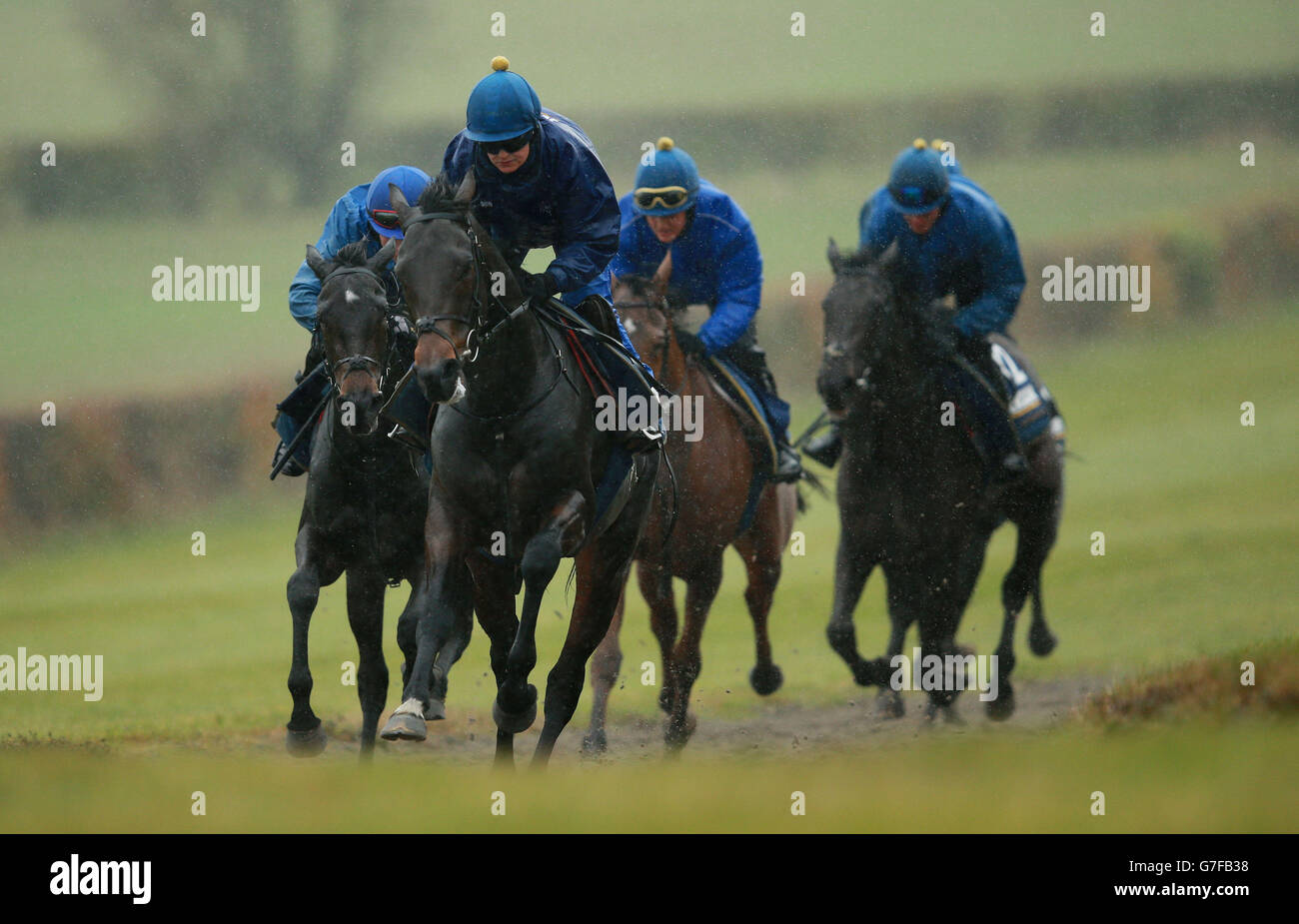 Horse racing visit to jonjo oneills stables jackdaws castle hi-res ...