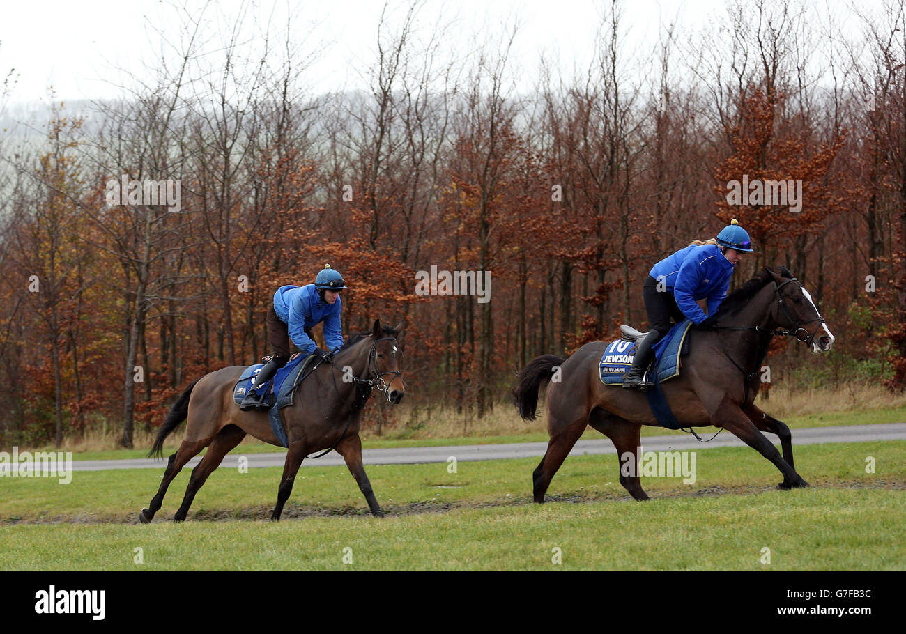 Horse Racing - Visit to Jonjo O'Neill's Stables - Jackdaws Castle ...