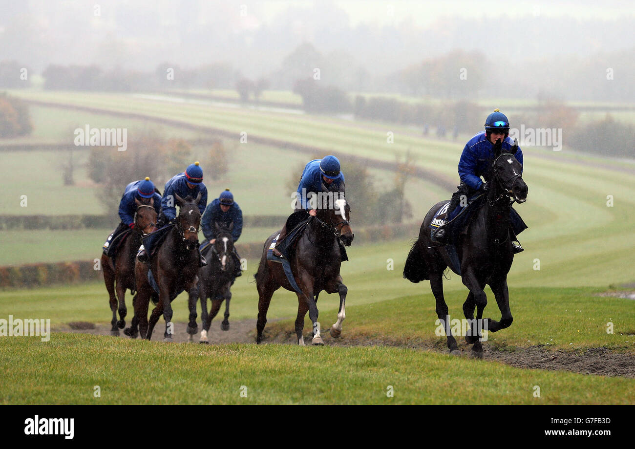 Horse Racing - Visit to Jonjo O'Neill's Stables - Jackdaws Castle Stock ...