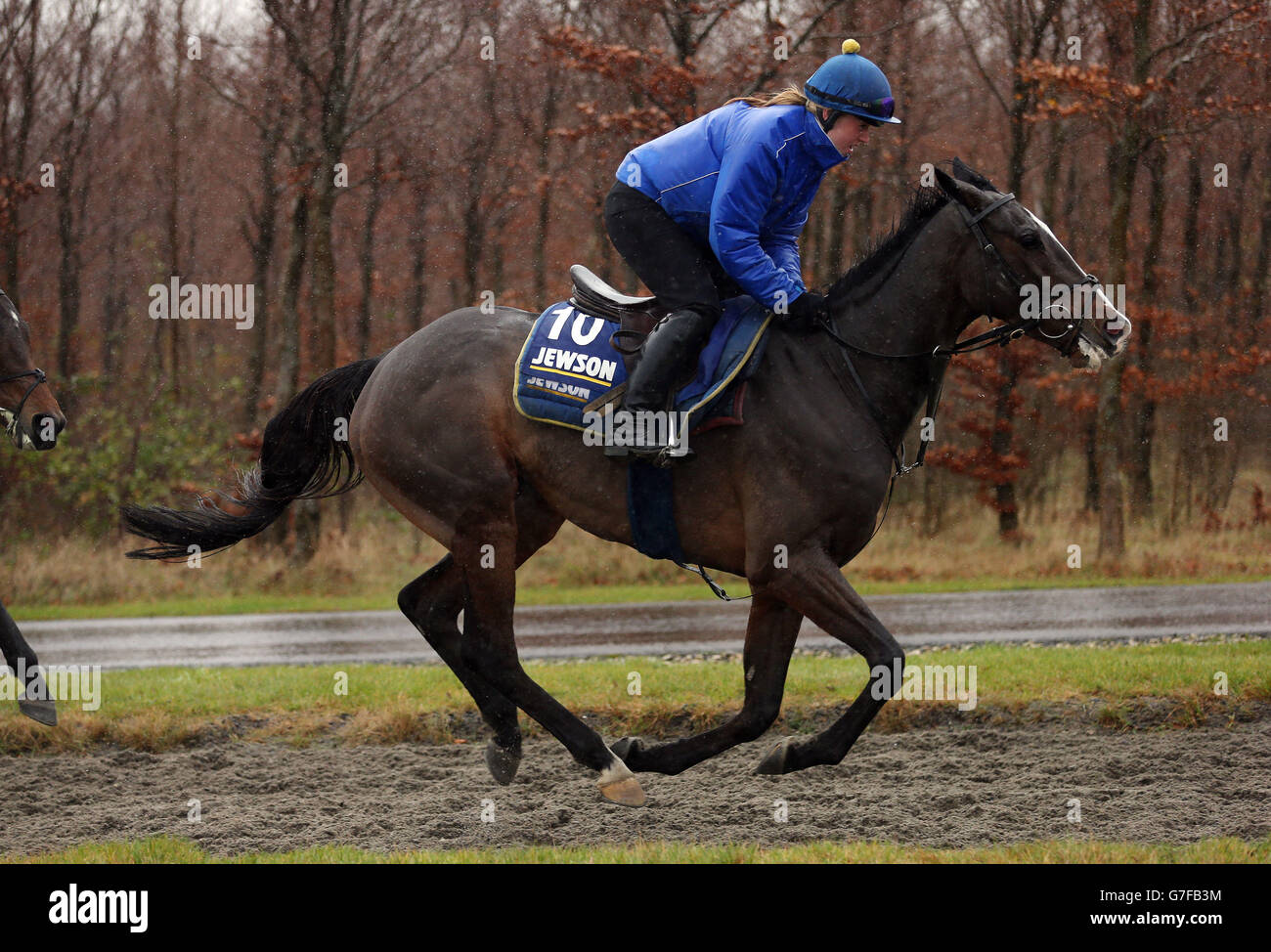 Horse Racing - Visit to Jonjo O'Neill's Stables - Jackdaws Castle ...
