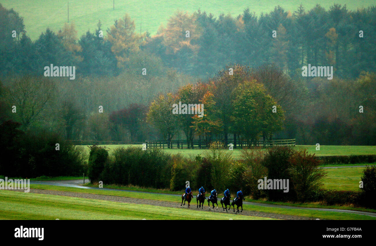 Visit jonjo oneills stables hi-res stock photography and images - Alamy