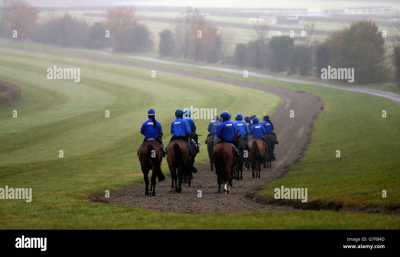 Horse racing visit to jonjo oneills stables jackdaws castle hi-res ...