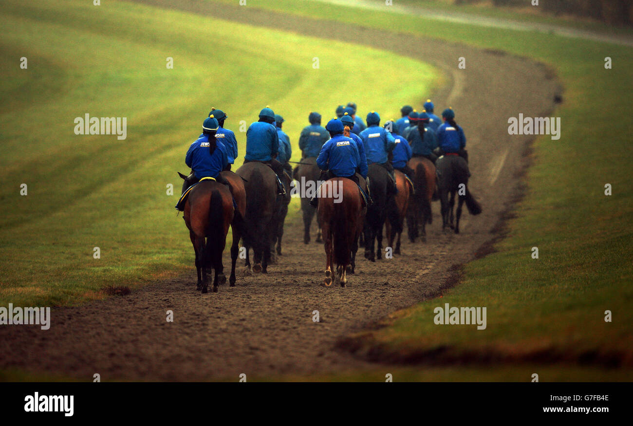 Horse Racing - Visit to Jonjo O'Neill's Stables - Jackdaws Castle Stock ...