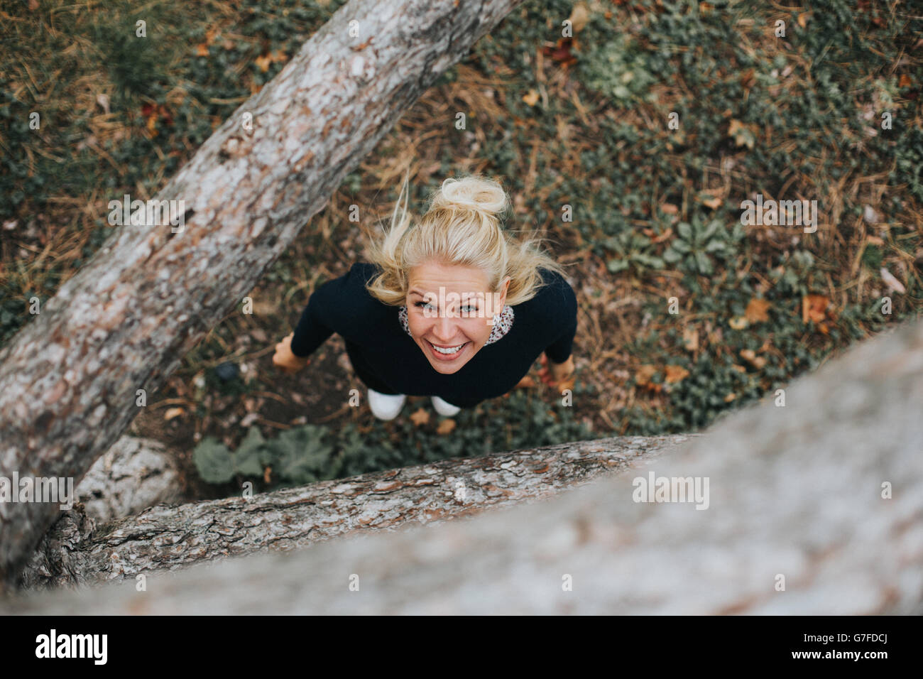 Climbing Trees in Fall Stock Photo - Alamy