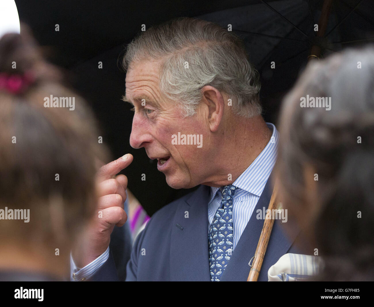 The Prince of Wales, Vice Royal Patron, attends a celebration marking ...