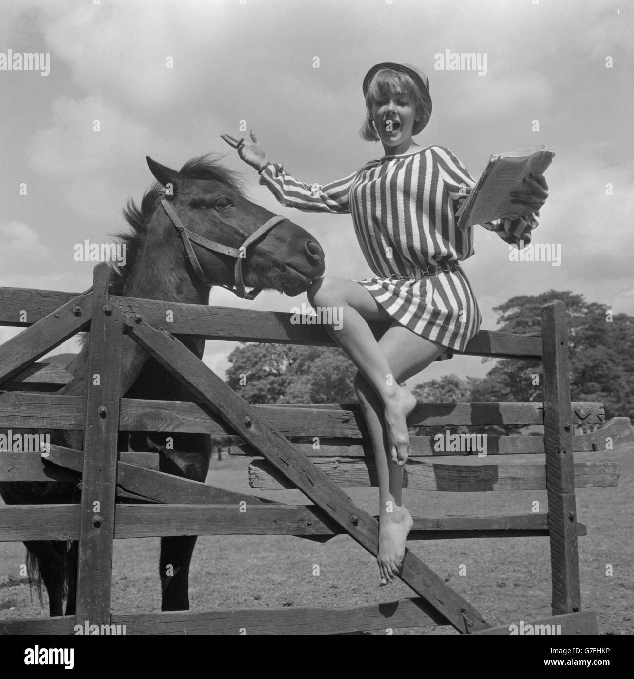 Jacki piper High Resolution Stock Photography and Images - Alamy