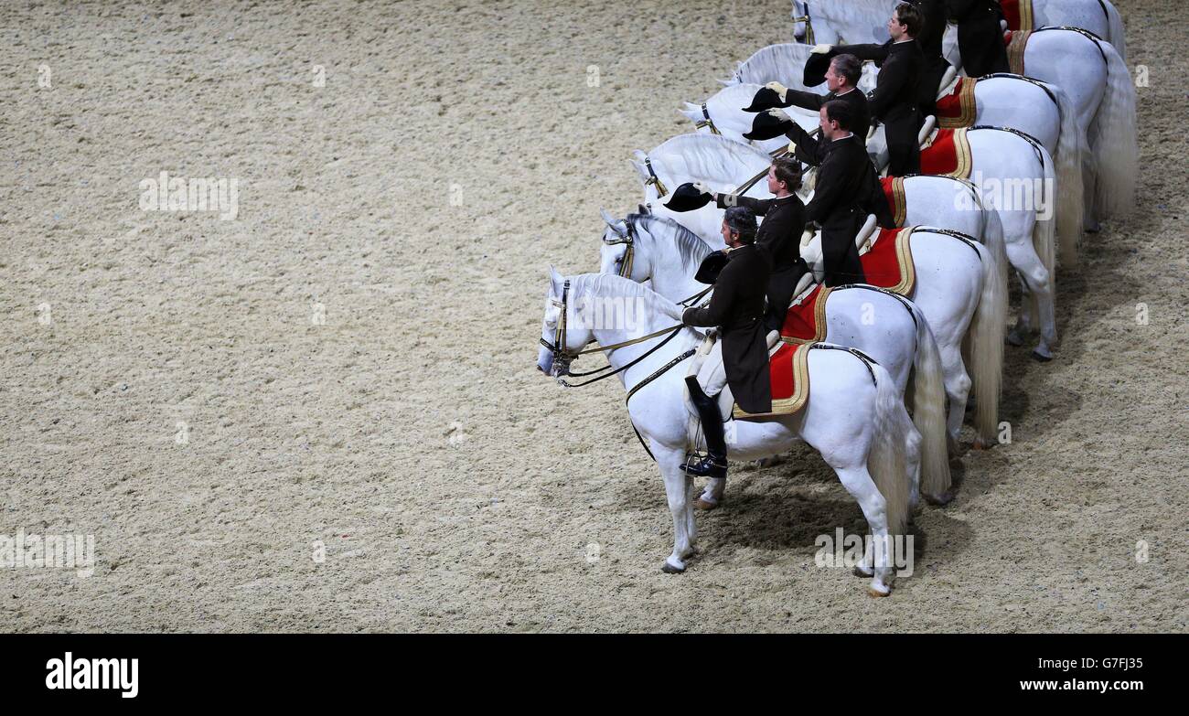 The Spanish Riding School of Vienna rehearse ahead of their UK tour at ...