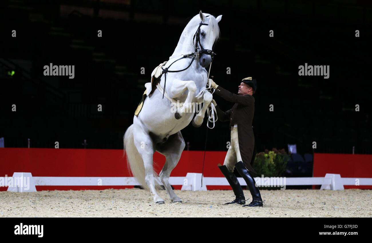 Wolfgang Eder, First Chief Rider, and horse Pluto Malina, as The Spanish Riding School of Vienna ...