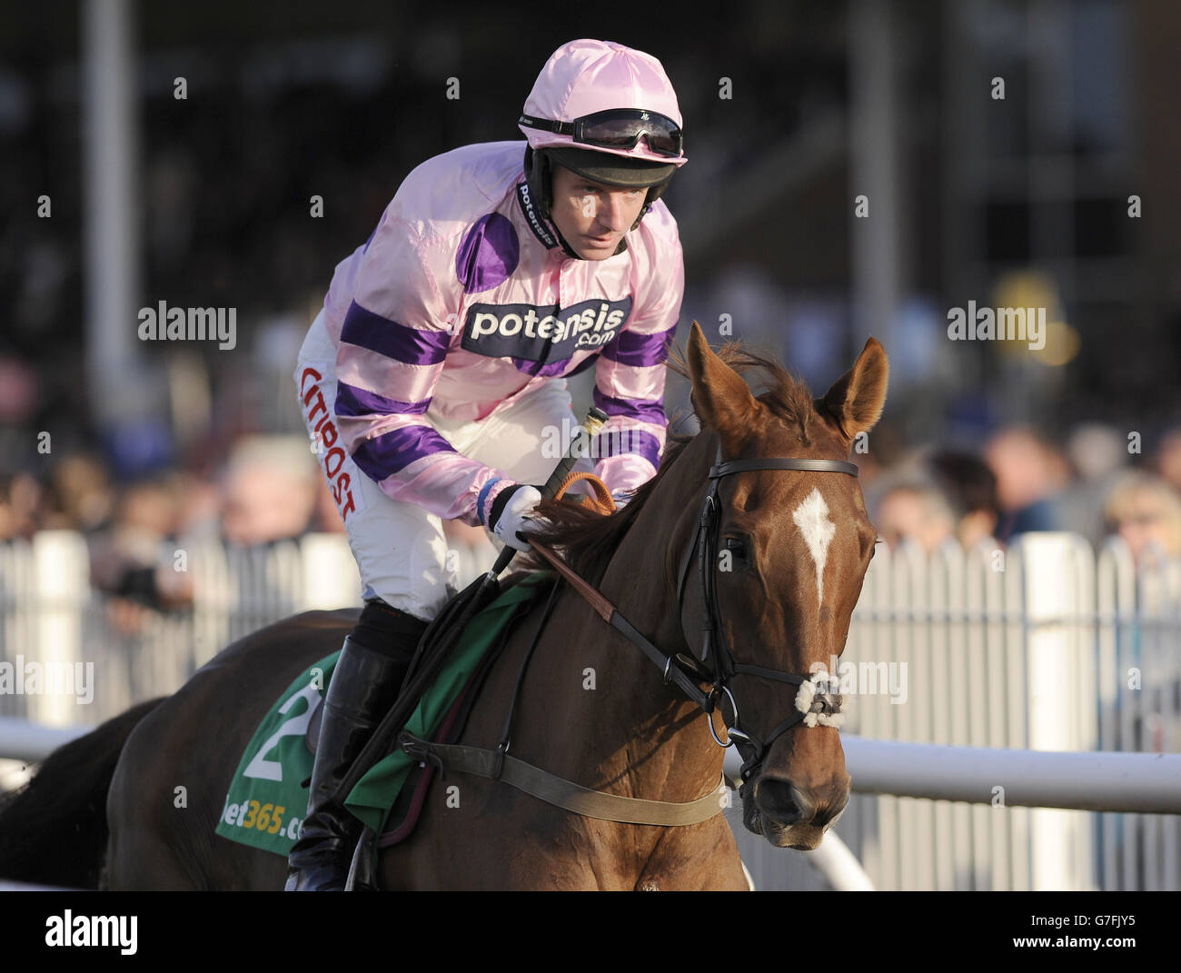 Horse Racing - Charlie Hall Chase - Wetherby Racecourse Stock Photo - Alamy