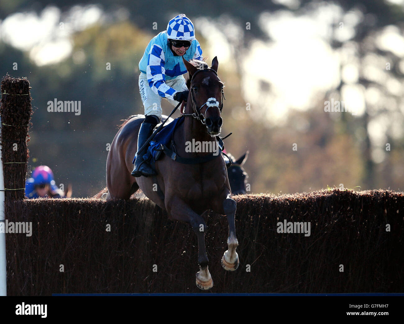 Chase exeter racecourse hi-res stock photography and images - Alamy