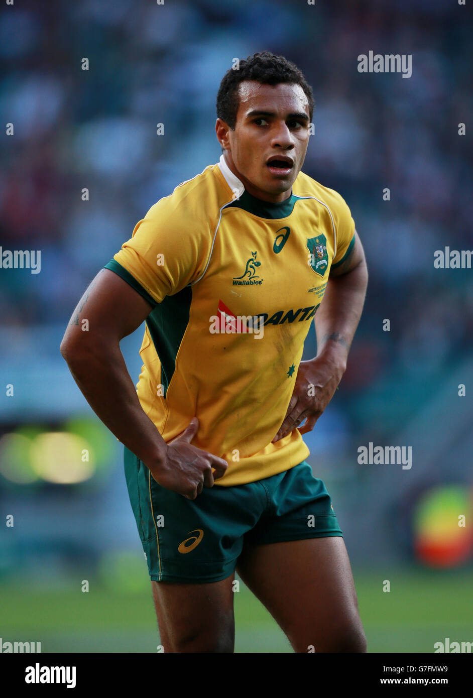 Australias will genia during the killik cup match at twickenham hi-res ...