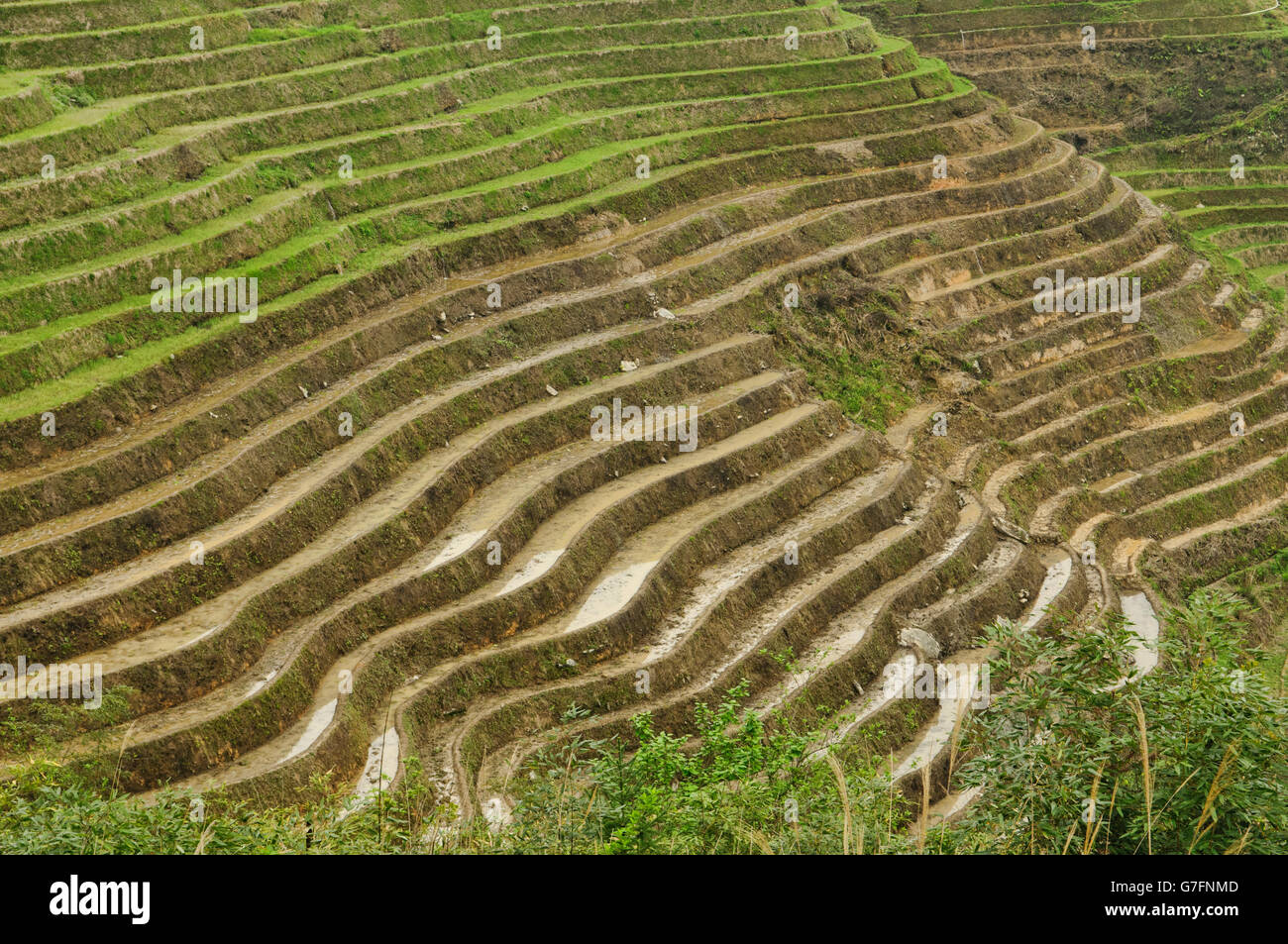Beautiful rice terraces Jinkeng in Longji, Guangxi Autonomous Region ...