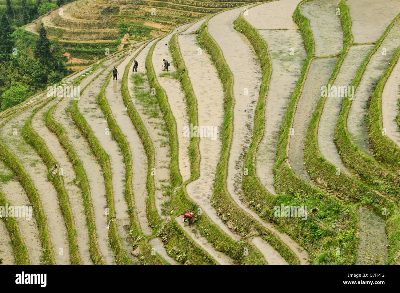 Asia china rice terraces rice farmers hi-res stock photography and ...
