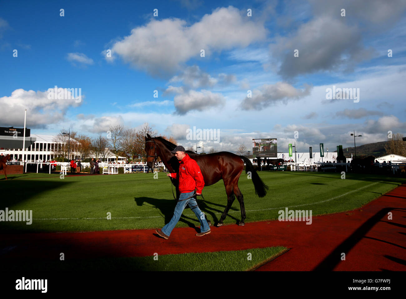 Horses are led around the parade ring during the National Hunt Stallion ...