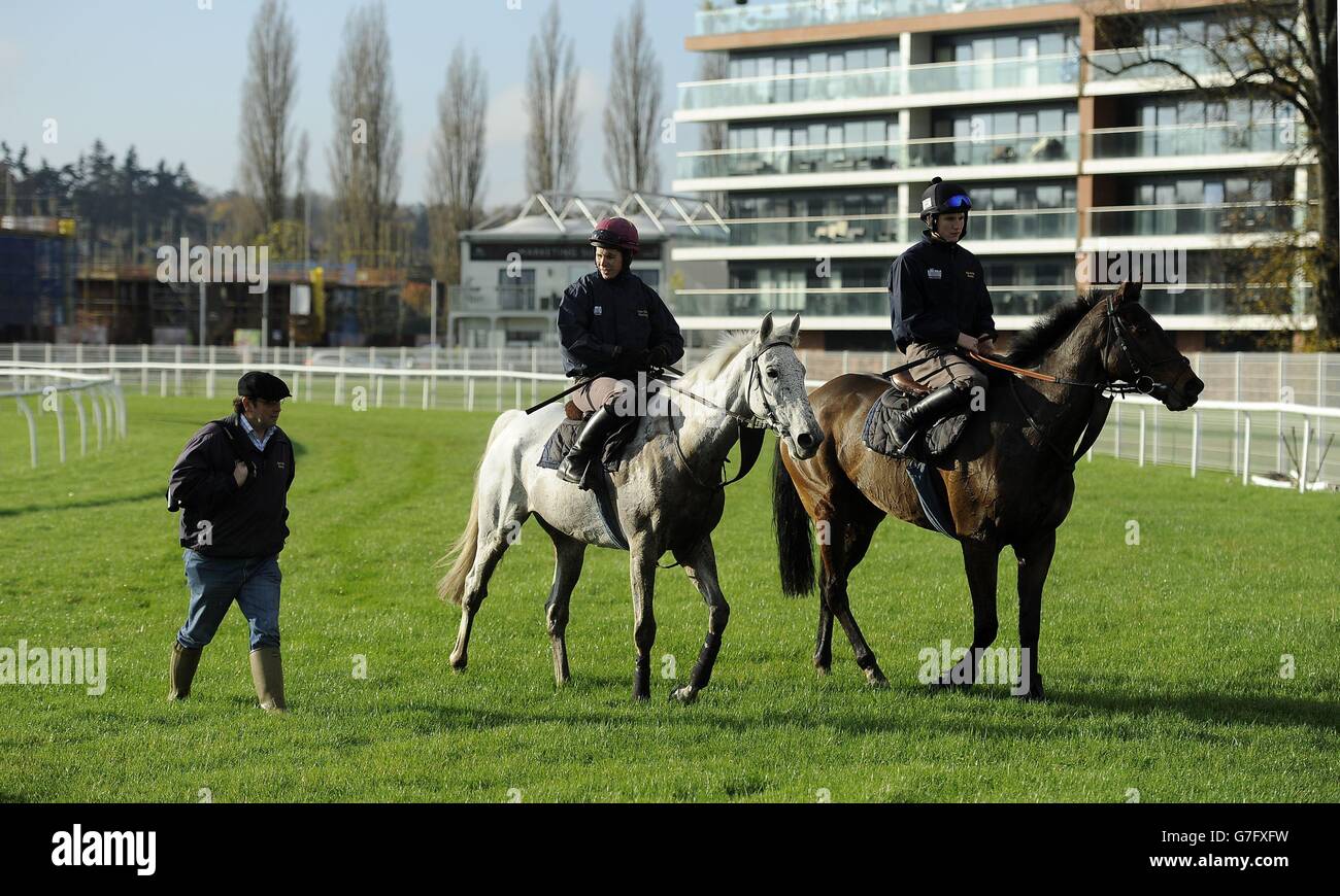 Trainer alan king hi-res stock photography and images - Alamy