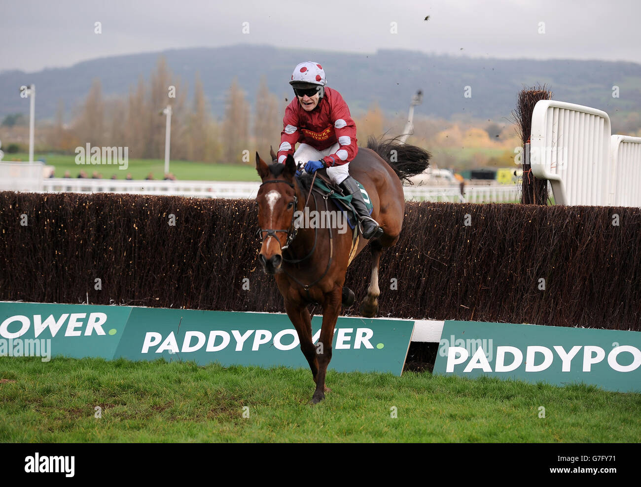 The jockey club sign at cheltenham racecourse hi-res stock photography ...