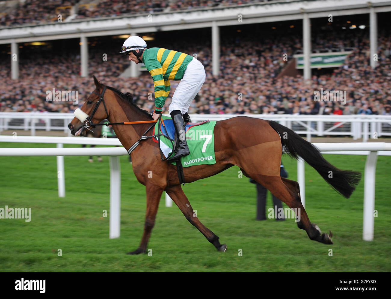 Jockey davy russell goes on hi-res stock photography and images - Alamy