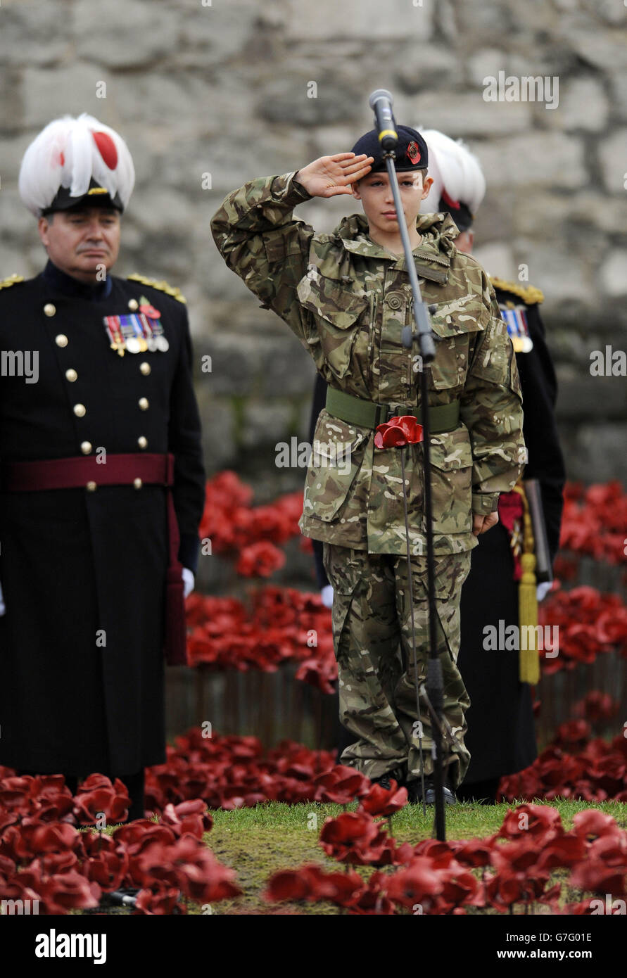 Cadet Harry Hayes, 13, salutes after he planted the last poppy in the ...