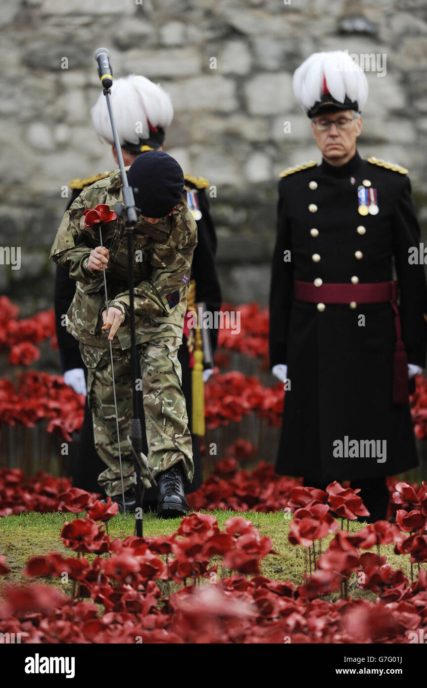 Armistice day memorial remembrance ampics hi-res stock photography and ...