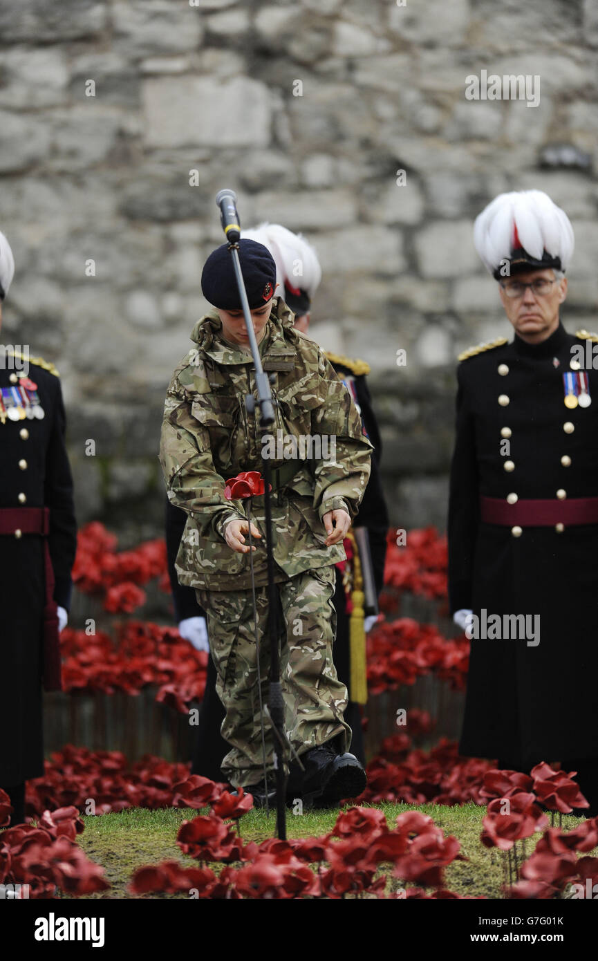 Cadet Harry Hayes, 13, plants the last poppy in the art installation ...