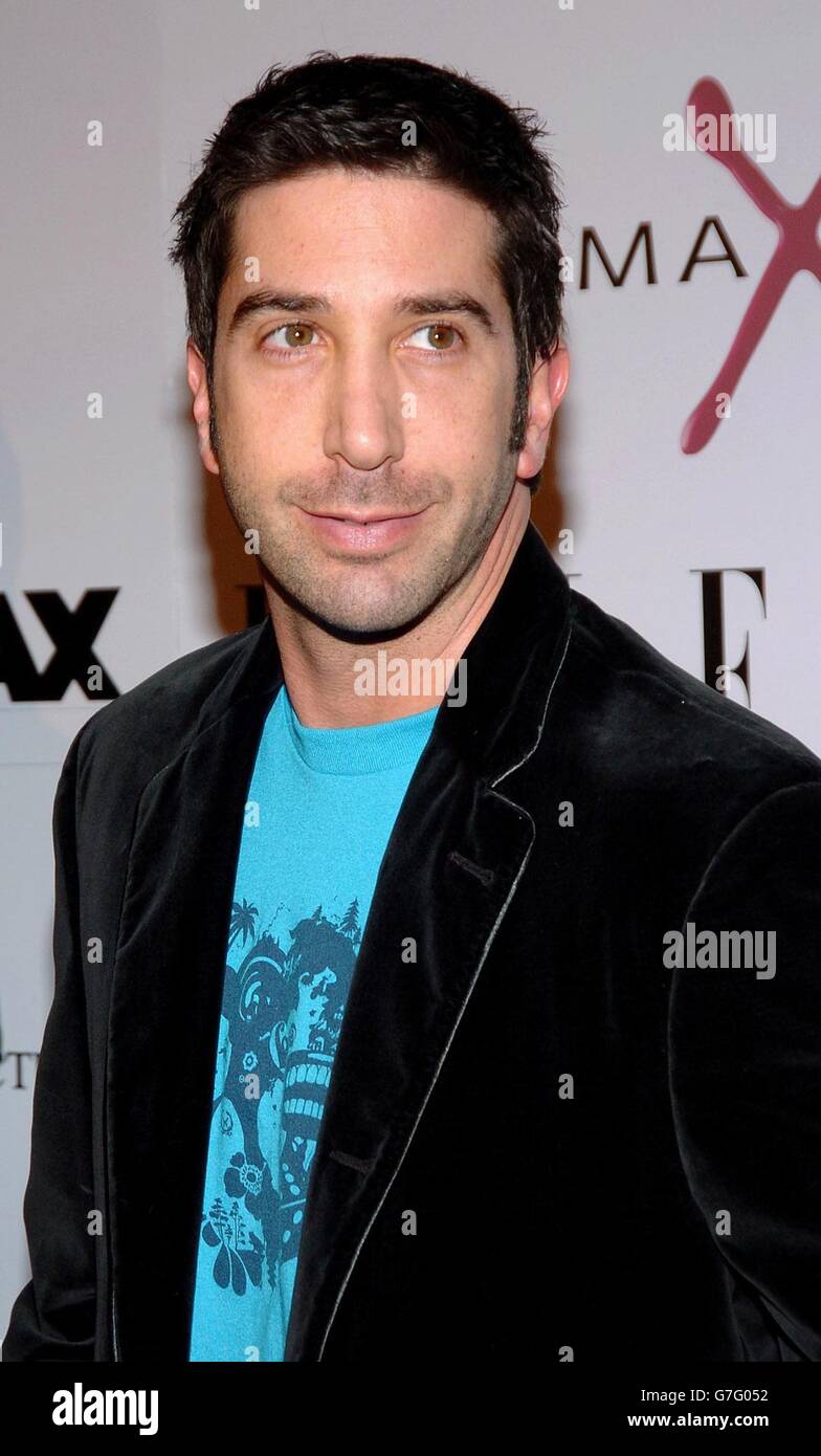Actor David Schwimmer arrives for the premiere of the new film 'Aviator ...
