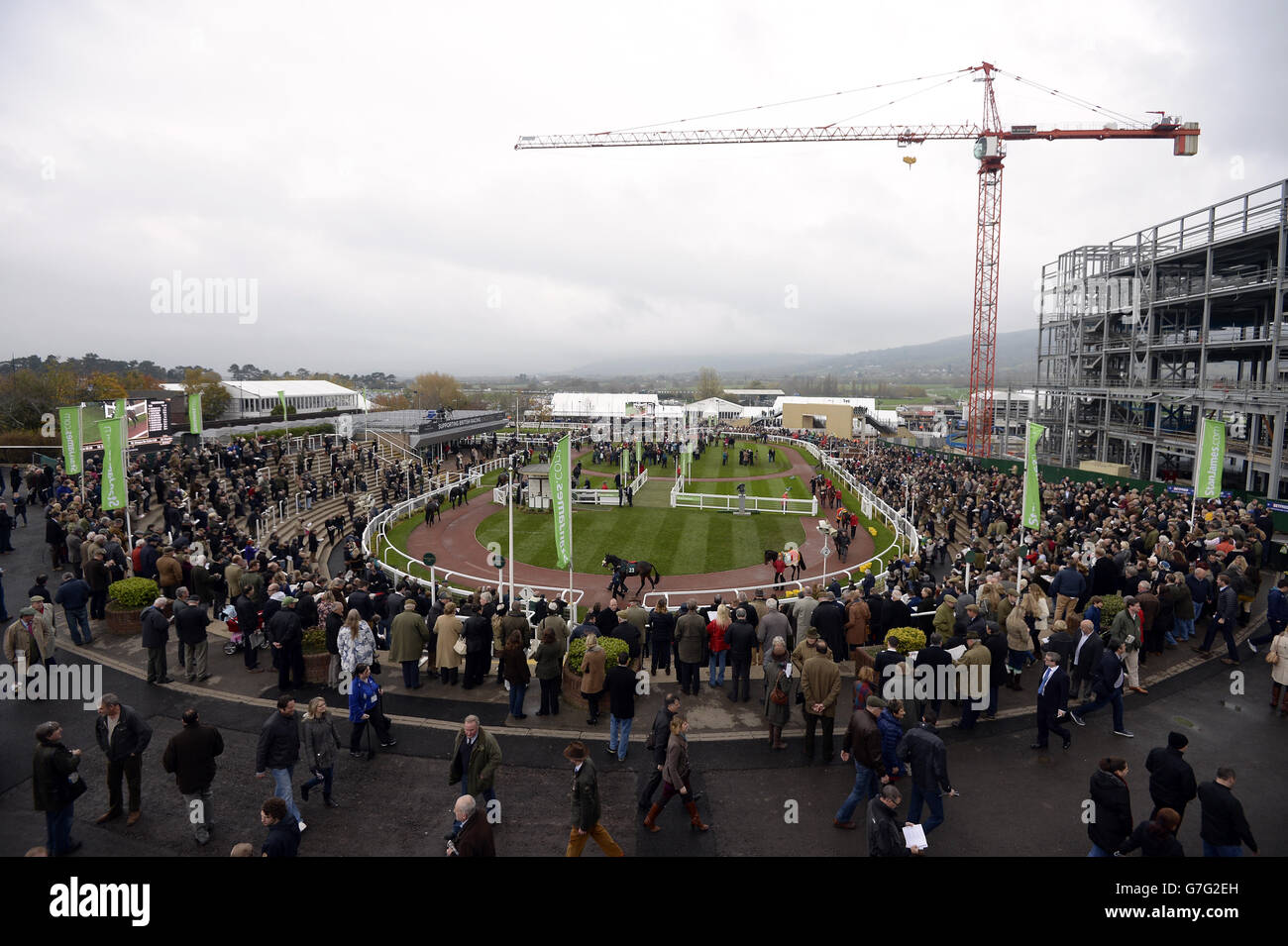 Racegoers around the parade ring at Cheltenham Racecourse Stock Photo ...