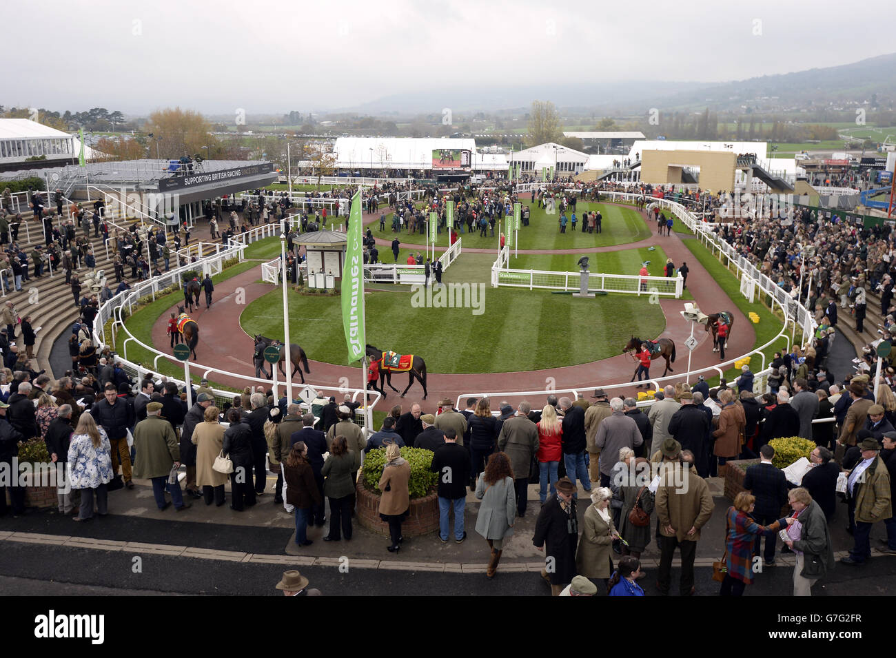 Racegoers around the parade ring at cheltenham racecourse hi-res stock ...