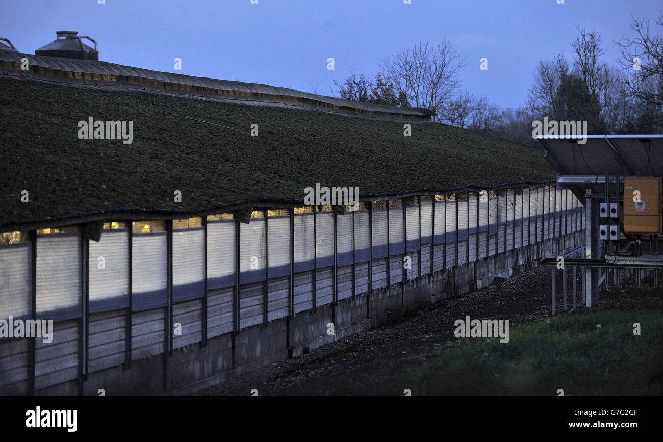 The Duck House at sunset at the farm in Nafferton, East Yorkshire ...