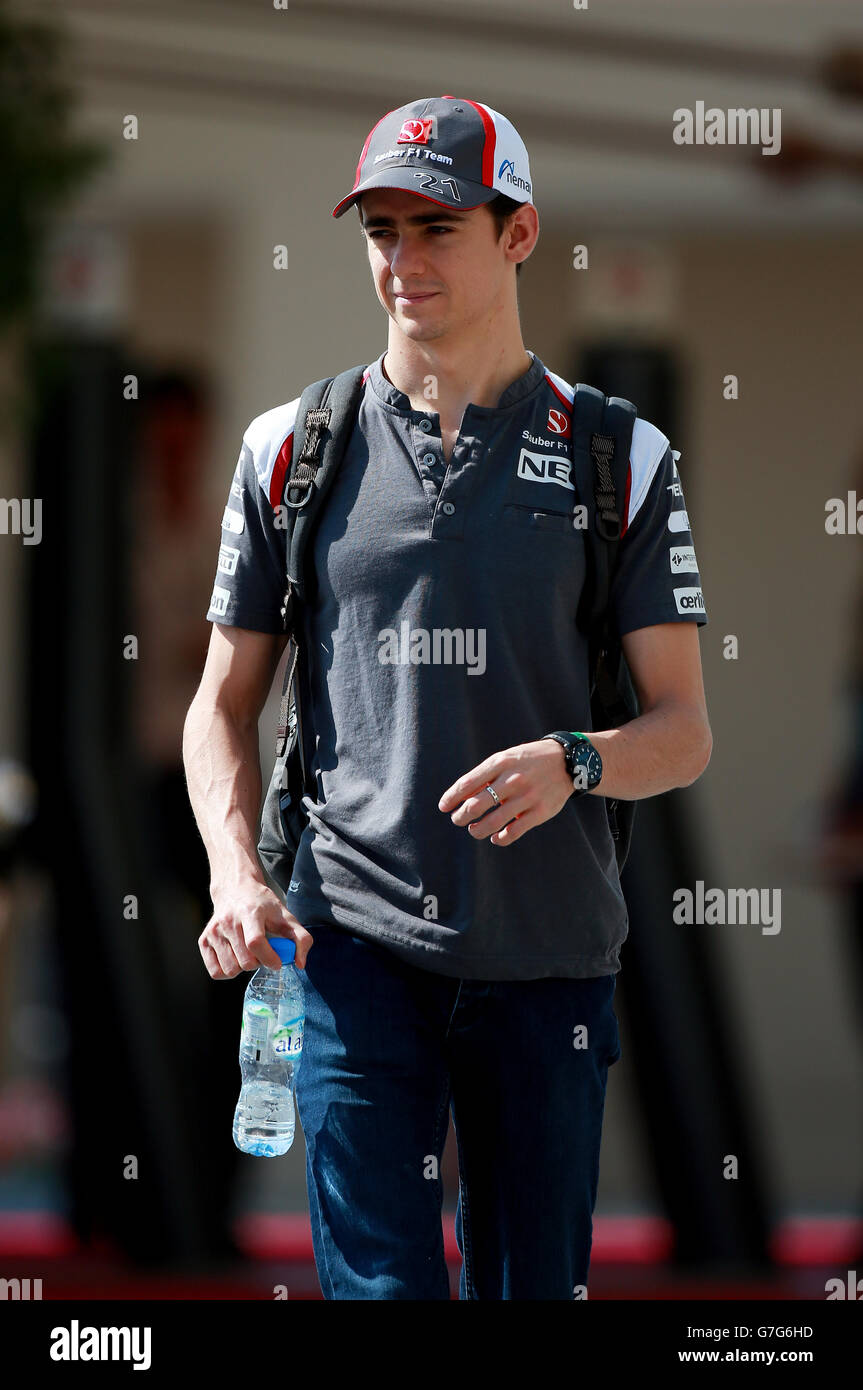 Motor Racing - Formula One World Championship - 2014 Abu Dhabi Grand ...