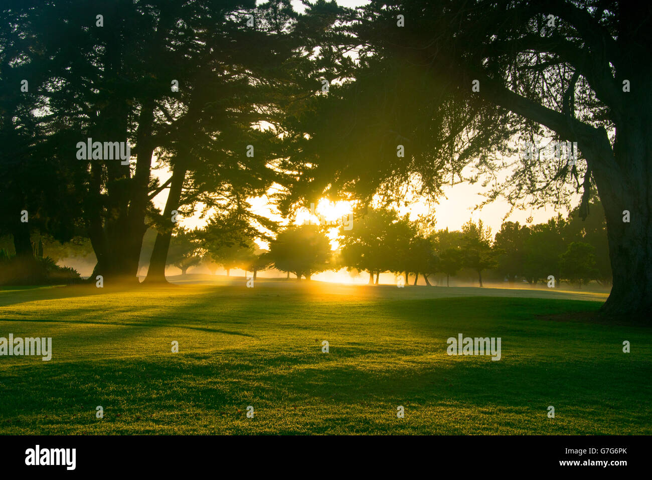 Rising courses hi-res stock photography and images - Alamy