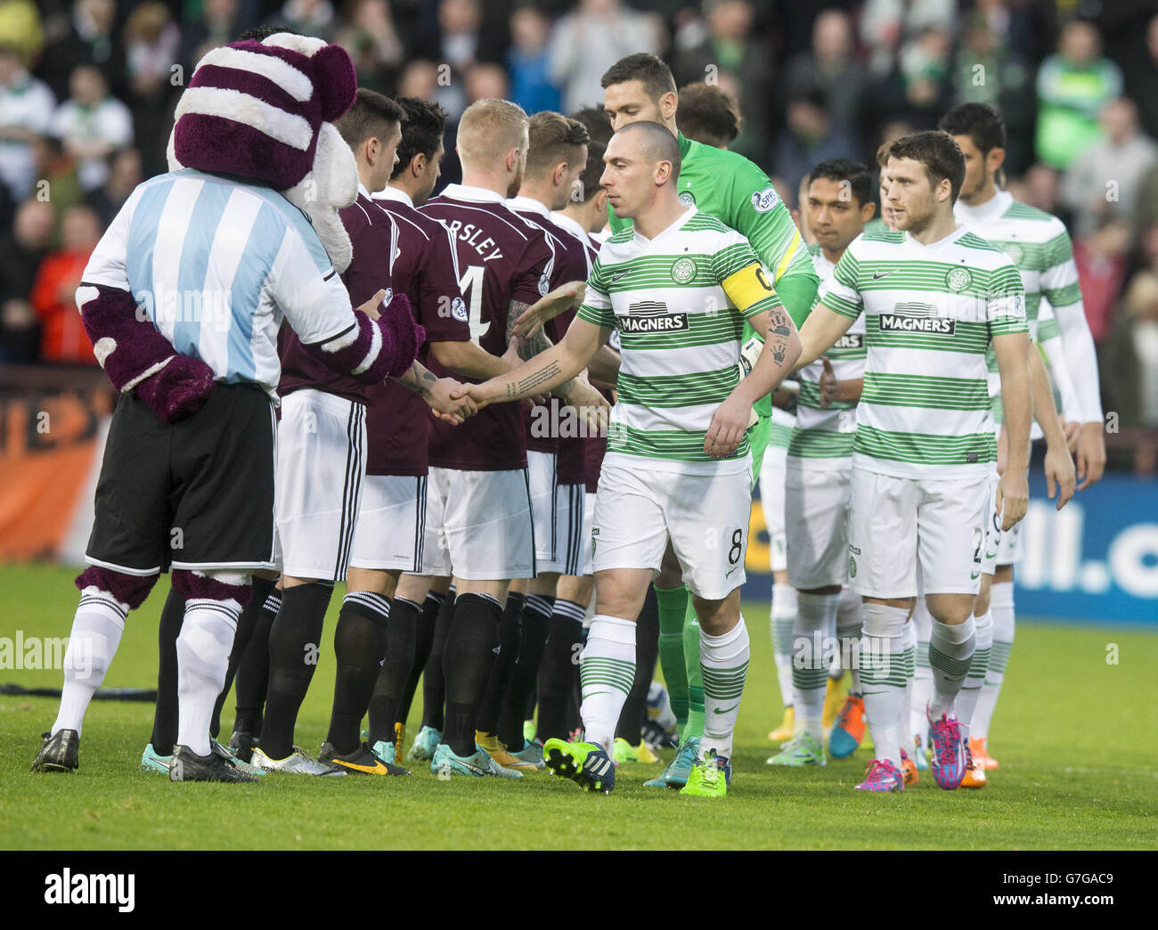 Heart midlothian mascot hi-res stock photography and images - Alamy