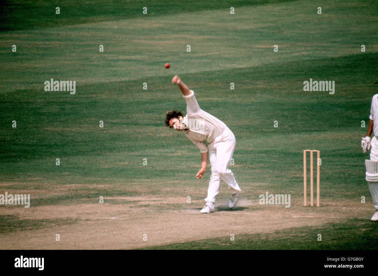 Peter hacker hi-res stock photography and images - Alamy