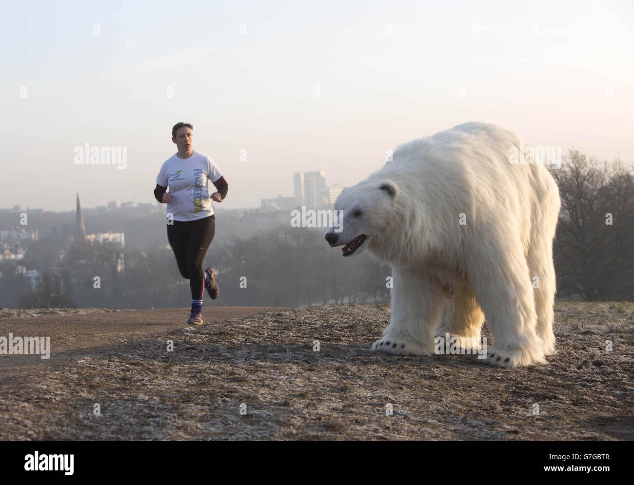 The polar bear hampstead hi-res stock photography and images - Alamy