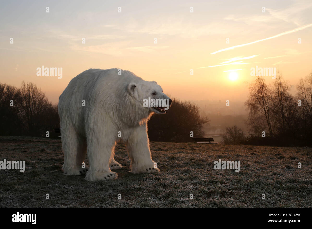 EDITORIAL USE ONLY An animatronic polar bear roams Hampstead Heath in ...