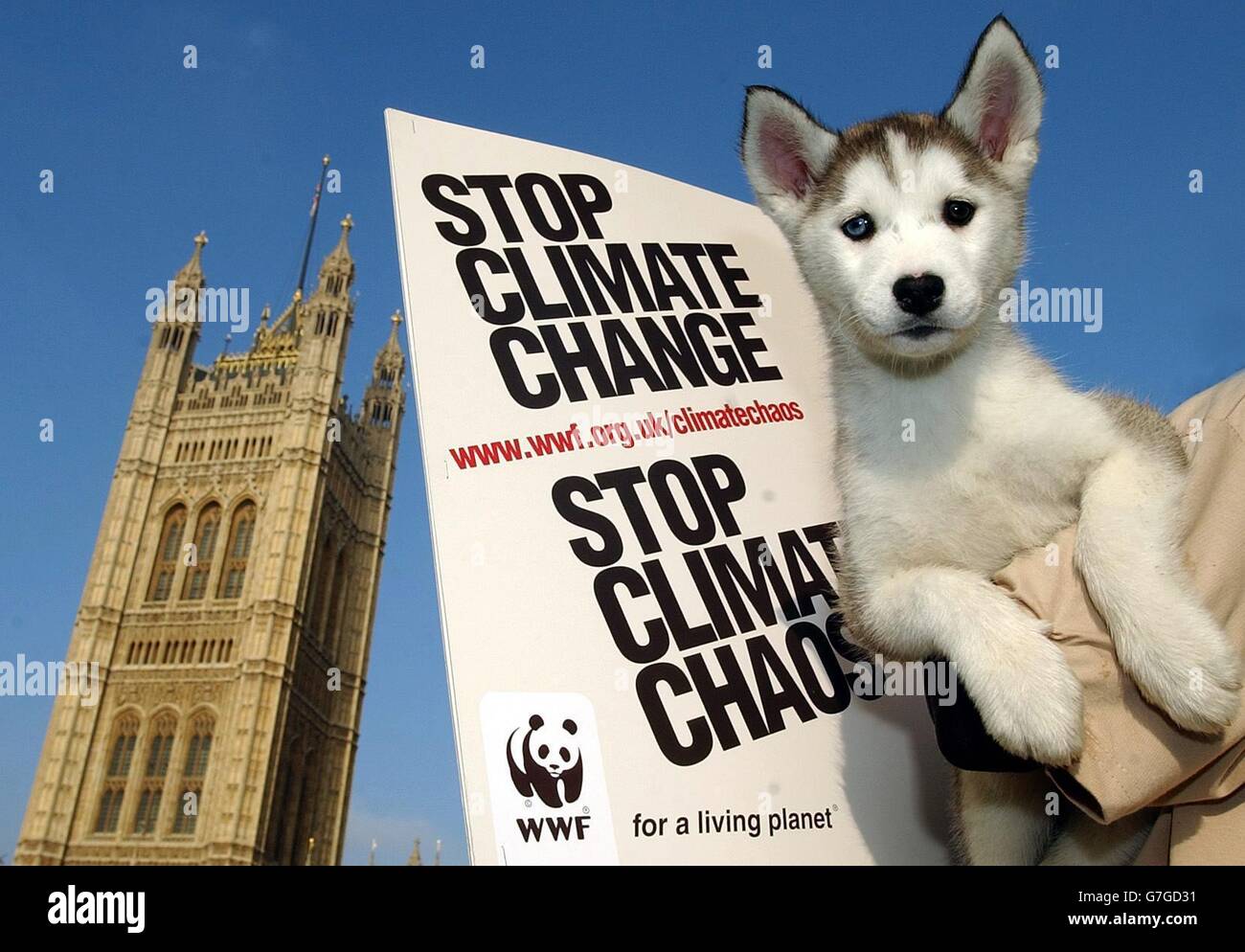 Wwf Ads Global Warming