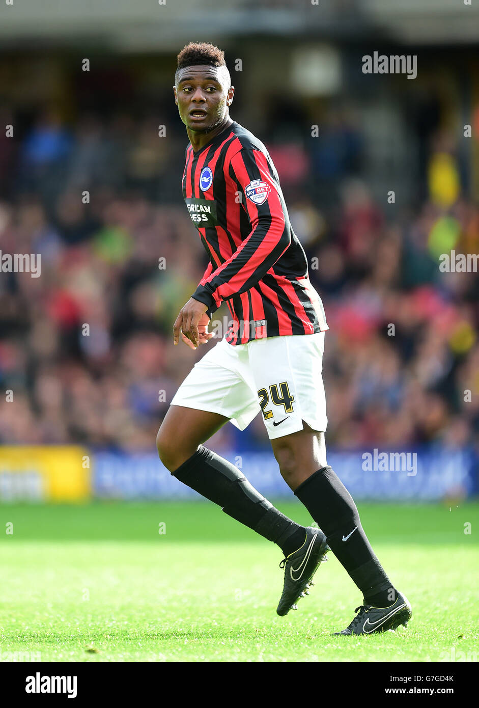 Brighton hove albions rohan ince hi-res stock photography and images ...