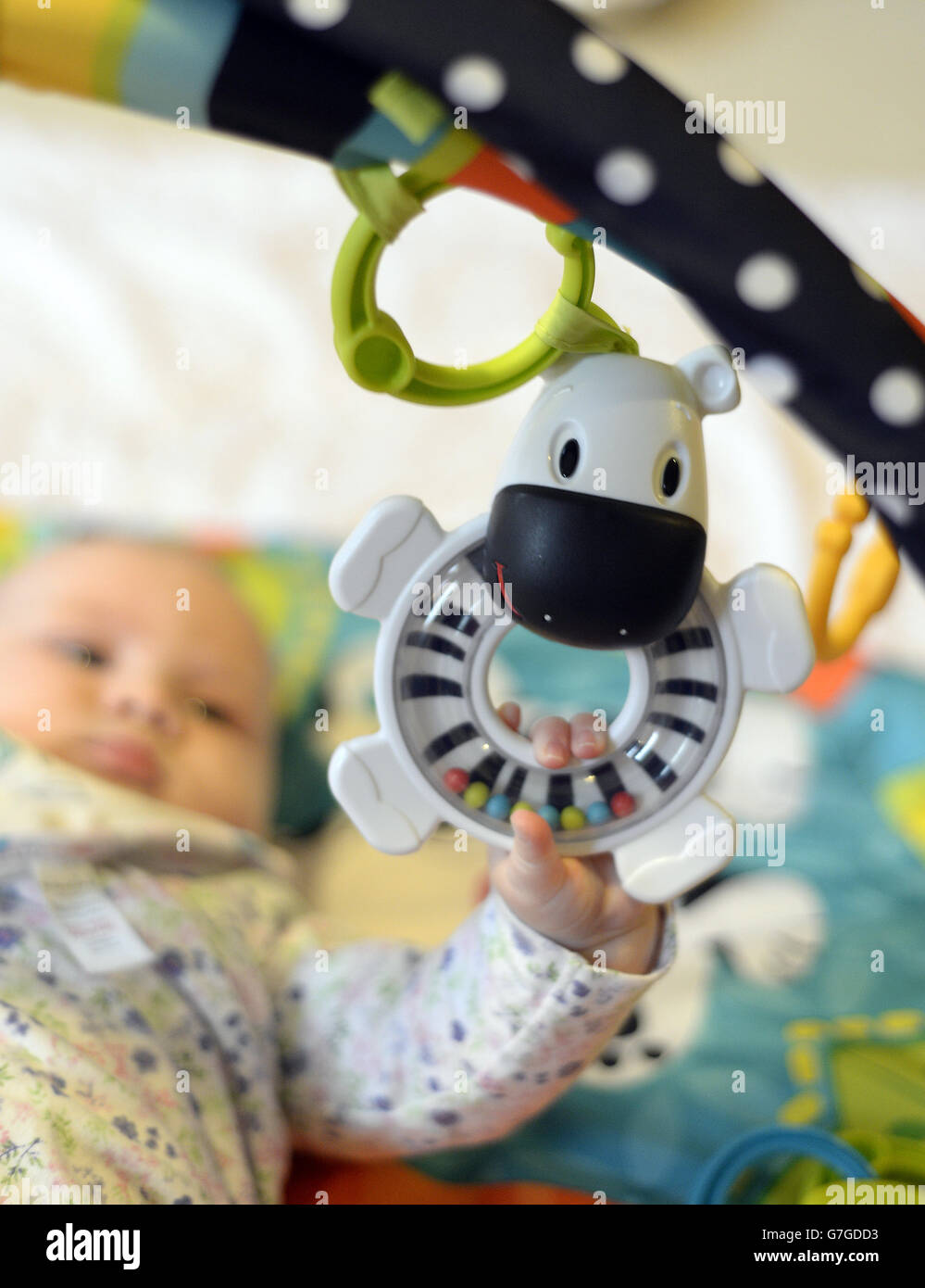 A 5 months old baby plays with a Zebra rattle on a play mat Stock Photo ...