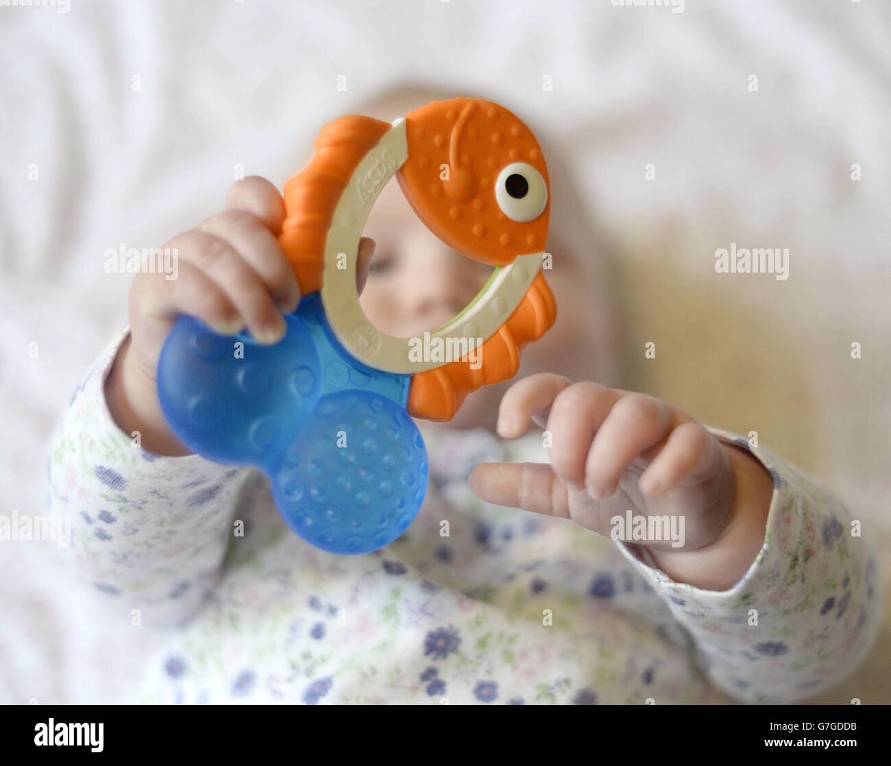 A 5 months old baby holds a teething ring in the style of a fish Stock ...