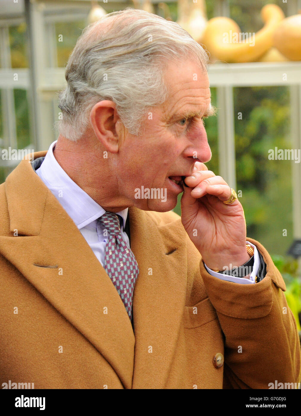 The Prince of Wales during a visit to The National Heritage Garden at ...