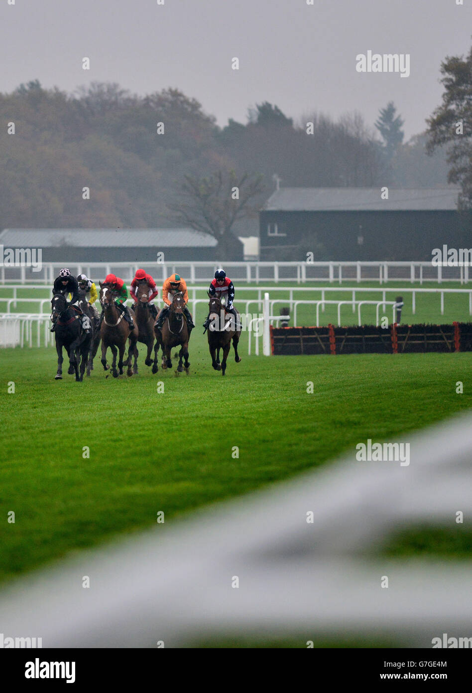 Horse Racing - Ascot Racecourse Stock Photo - Alamy