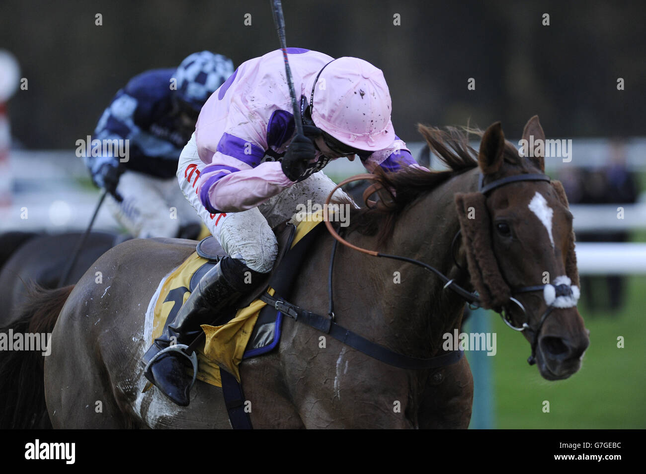 Betfair chase day haydock racecourse hi-res stock photography and ...