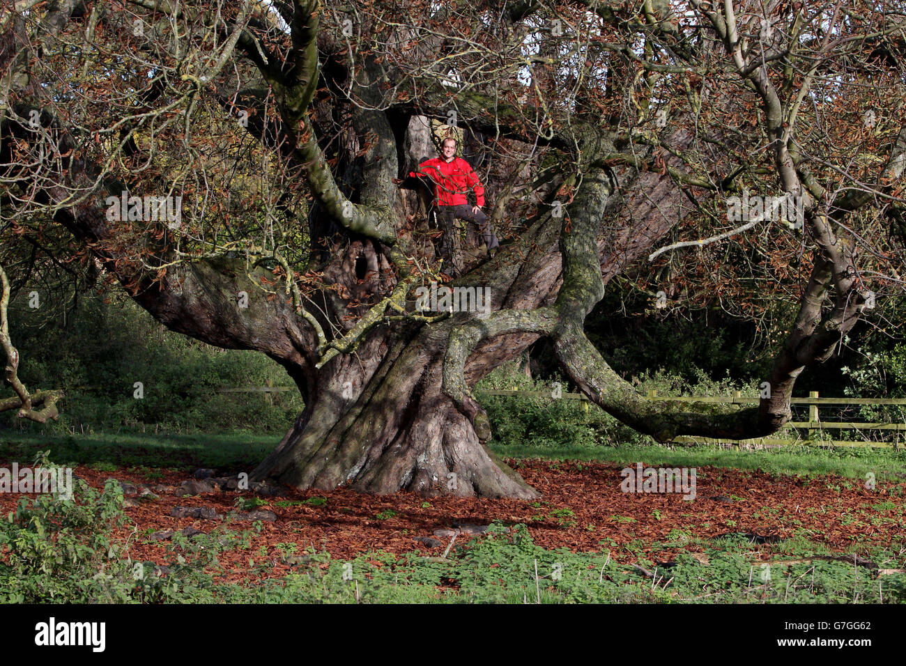 Hughenden Manor ranger Steve Kirkpatrick sits in the largest horse ...
