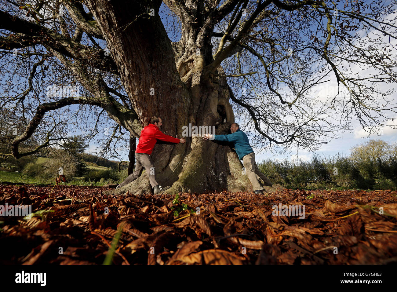 Previous unreleased photo dated 12/11/14 of Hughenden Manor ranger ...