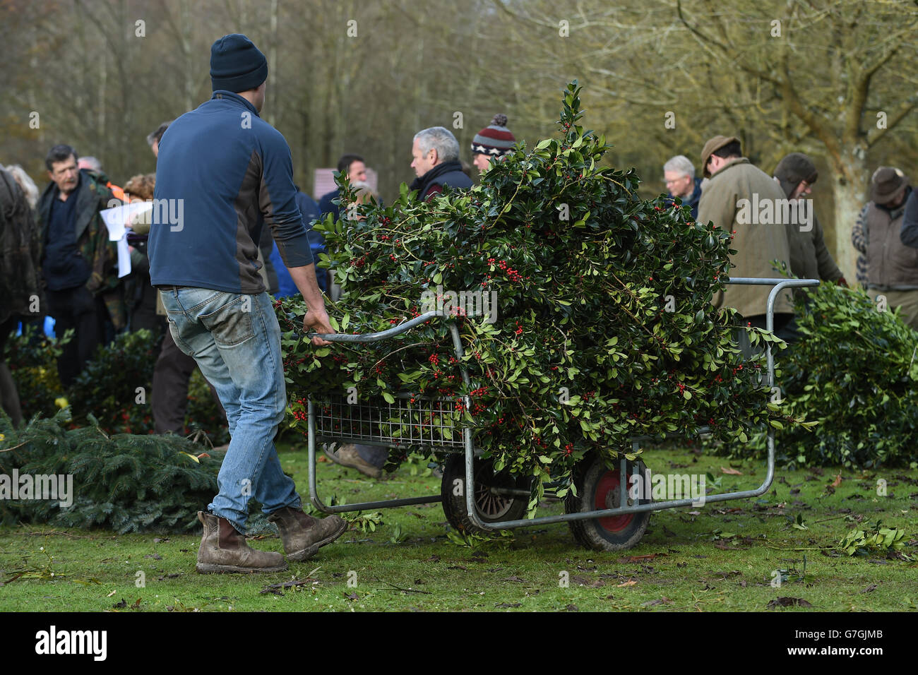 Tenbury Mistletoe and Holly auction Stock Photo - Alamy