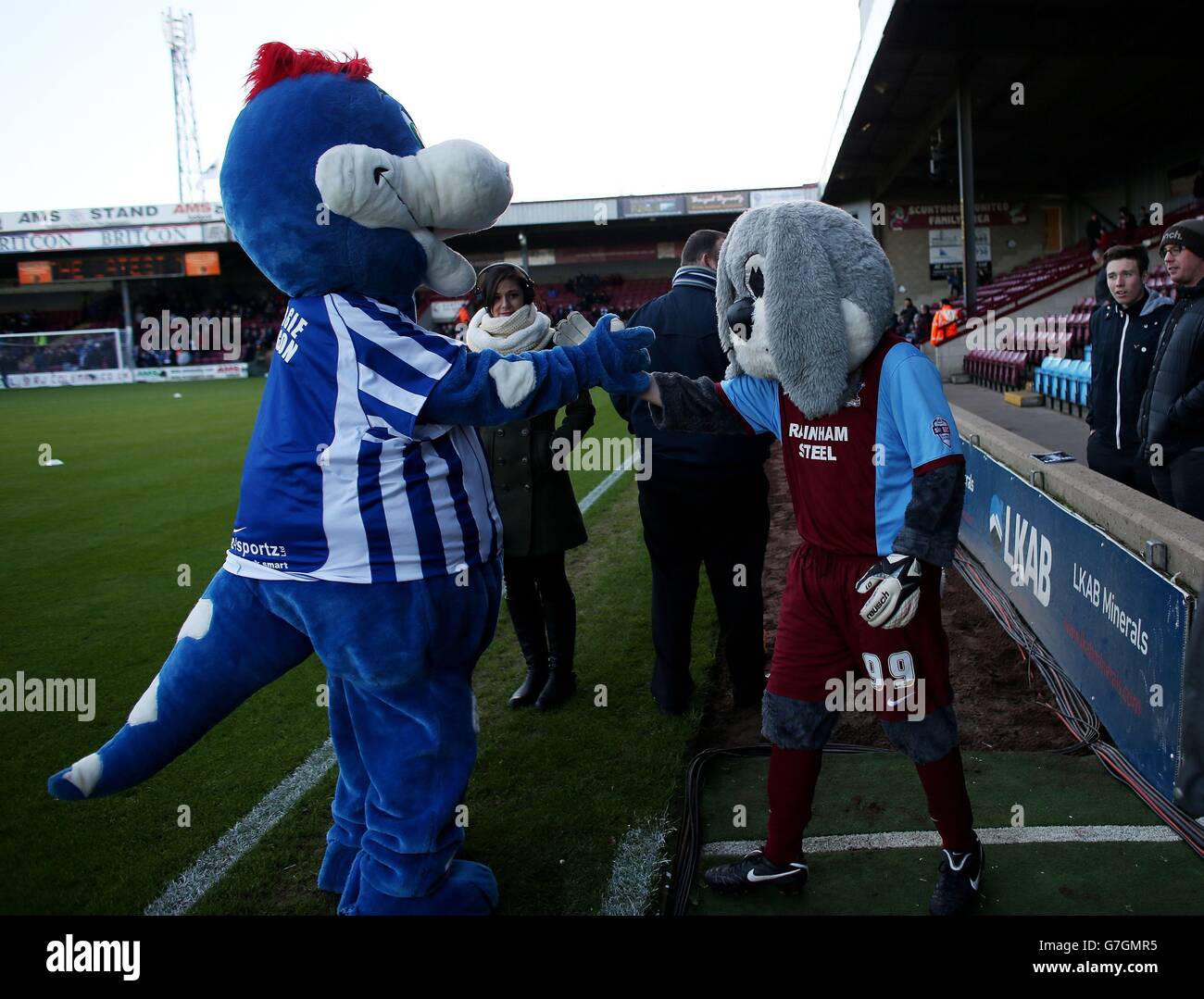 Scunny hi-res stock photography and images - Alamy